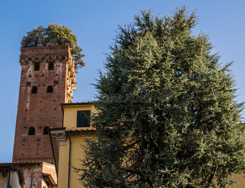 Guinigi Tower In Lucca, Italy, With Trees On The Top Stock Image ...