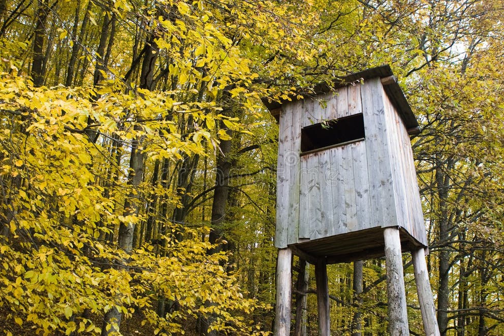 Tower Hide for Birdwatching Stock Photo - Image of hobby, observation ...