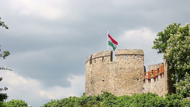 Tower with Hungarian Flag Pecs Stock Footage - Video of building ...