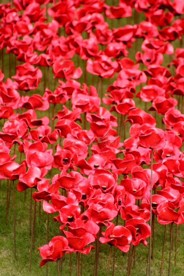 Tower of London editorial photo. Image of poppies, tourism - 74148266