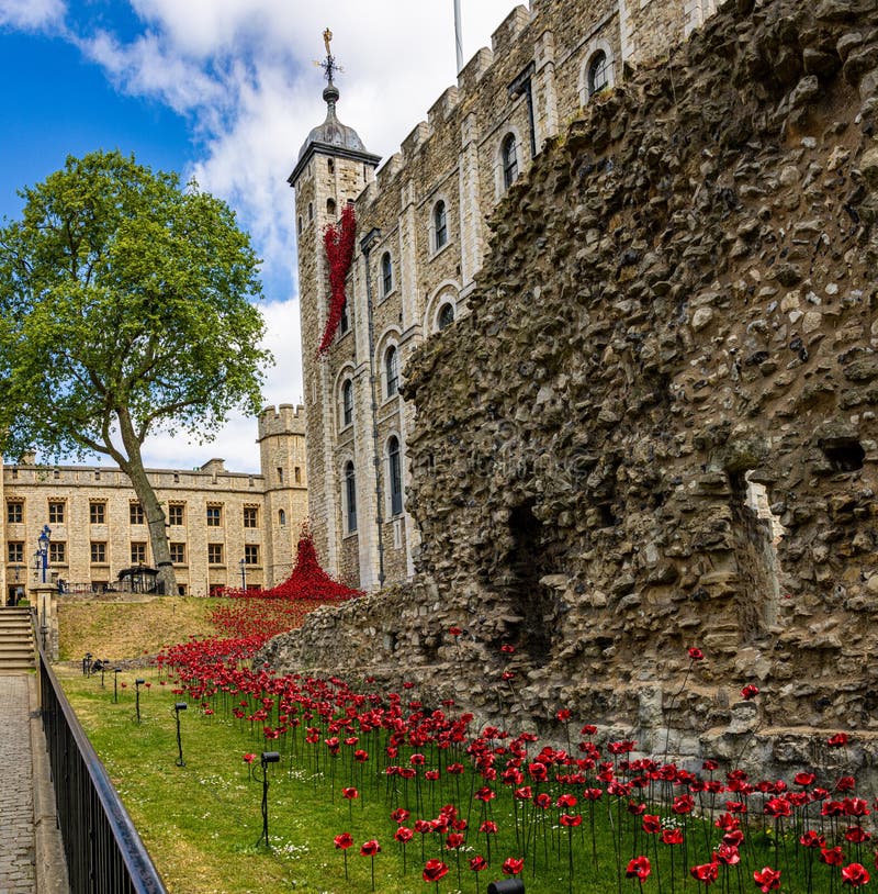 The Tower of London UK VE DAY 80 Poppy Display Foto Editorial - Imagem ...