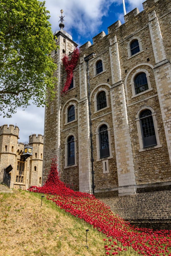 The Tower of London UK VE DAY 80 Poppy Display Foto Editorial - Imagem ...