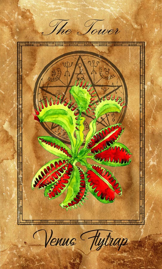 The Tower. Major Arcana Tarot Card with Venus Flytrap and Magic Seal Stock de ilustración ...