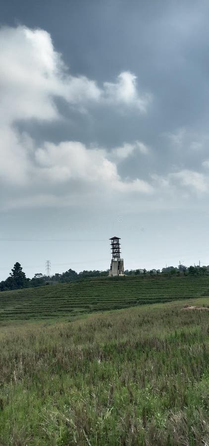 The Tower in the Middle of the Rice Fields is Very Beautiful and ...