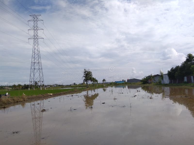 Tower in a field stock photo. Image of field, rice, tower - 212743316