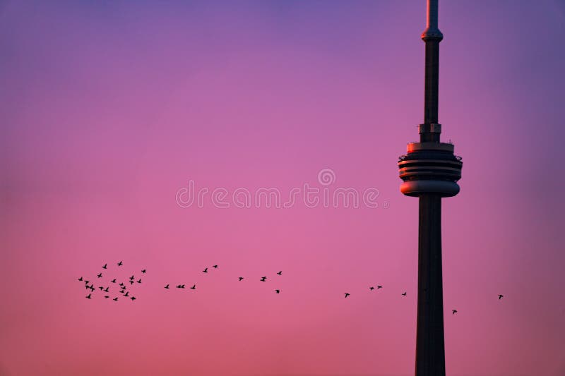 Tower in the pink sky stock image. Image of silhouette - 349243457