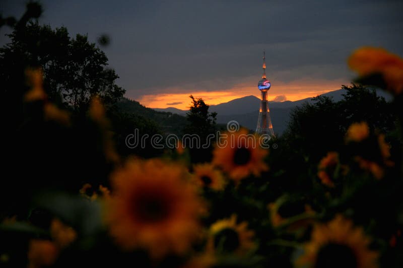The tower on sunset stock photo. Image of summer, blossom - 97364214