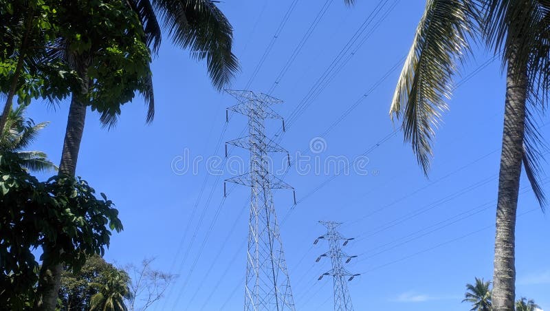 The Tower Transmission of Electricity with Frame Coconut Tree Stock ...