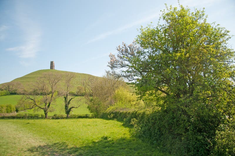 Tower and trees stock photo. Image of somerset, portrait - 40258106