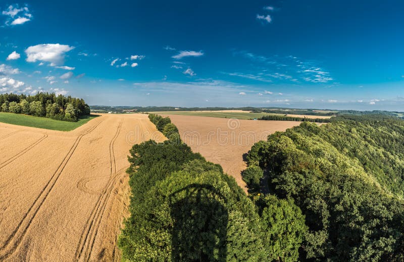 Tower View Over Yellow Corn Fields and Forest at the German Countryside ...