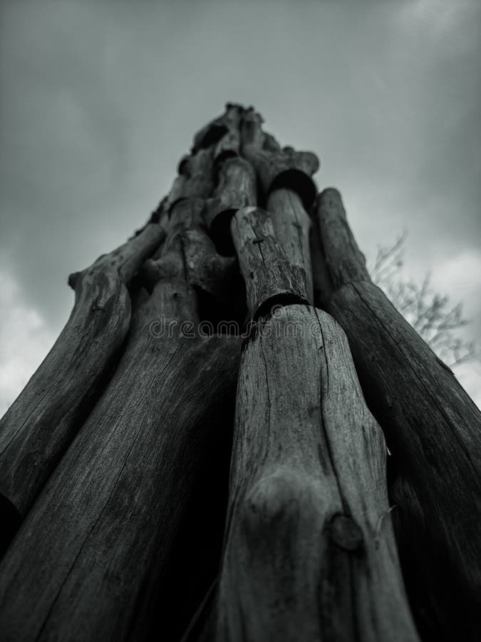 Tower of Wood Logs in Back and White Stock Photo - Image of wood, back ...