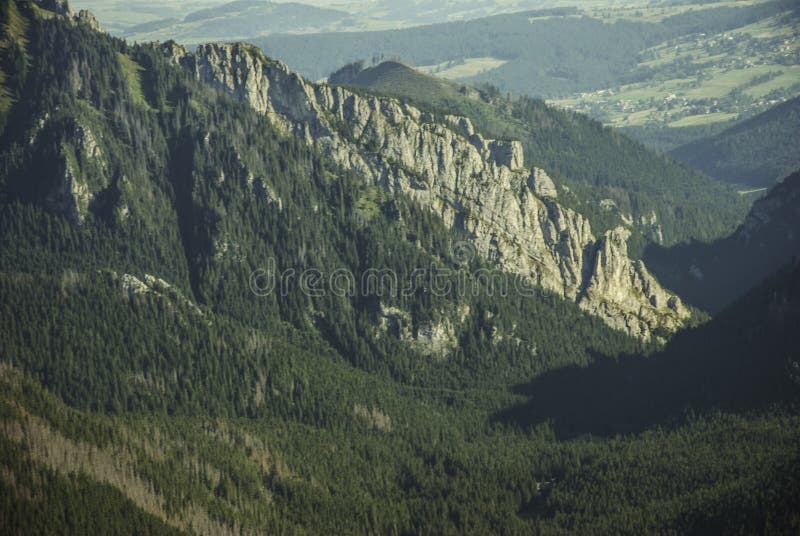 The Towering Limestone Cliffs Dense Coniferous Forest Stock Image ...