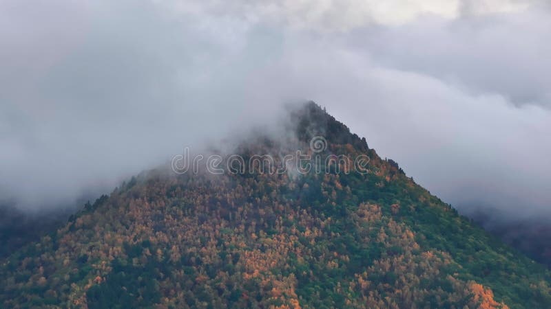 Towering Mountain Enveloped in Clouds and Trees Stock Video - Video of ...