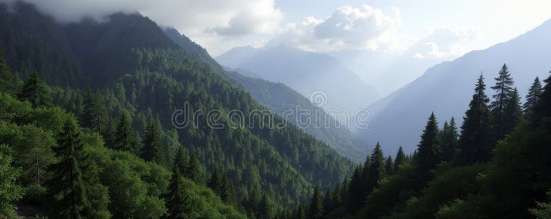 Towering Trees Engulf the Mountain S Upper Slopes, Forests, Tree Growth ...