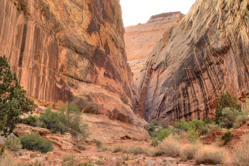 Towering walls stock photo. Image of nature, capital, outdoors - 7437142