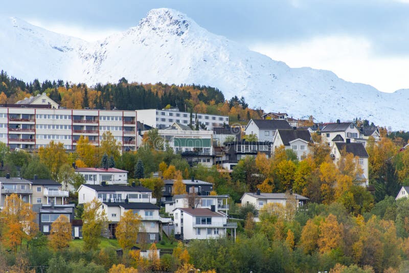 Town of Narvik stock photo. Image of view, wood, city - 367720240
