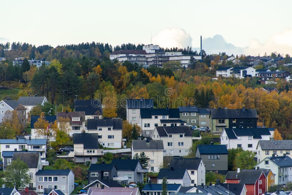Town of Narvik stock image. Image of norway, wood, outdoor - 385347475