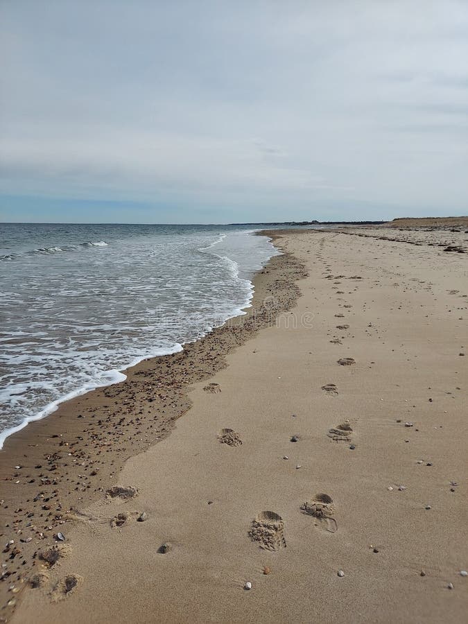 Town Neck Beach, Cape Cod stock image. Image of beach - 273466425