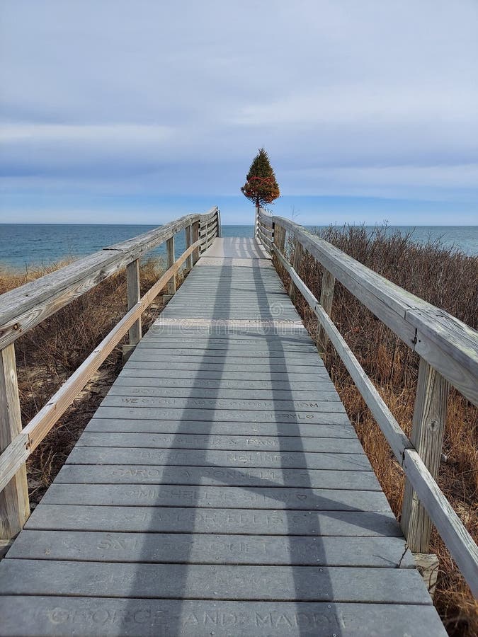 Town Neck Beach, Cape Cod stock image. Image of neck - 273466439