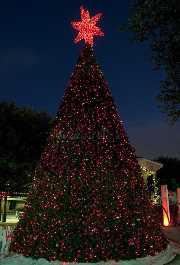 Town S Outdoor Christmas Tree Stock Photo - Image of holiday, lights ...