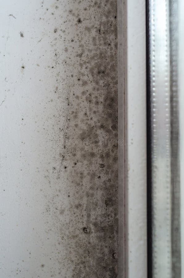Toxic Mold Patches Damp Wall Near Window Frame Indoors Stock Photos ...