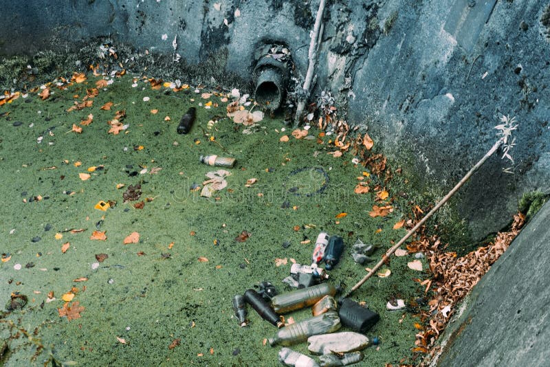 Toxic Pollution of the Environment or Pollution of Natural Water Bodies ...