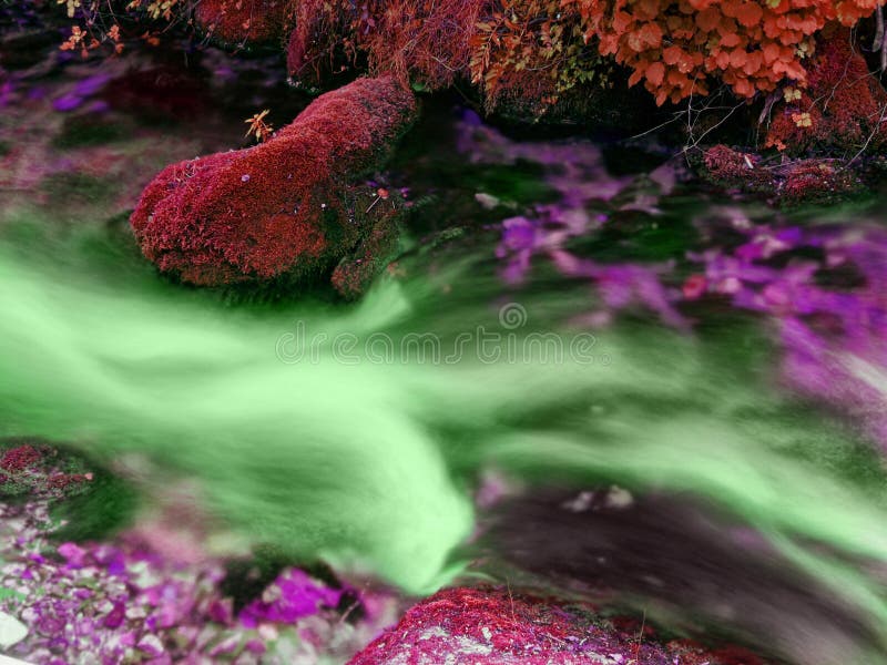Toxic stream stock photo. Image of garbage, danger, pouring - 19071730