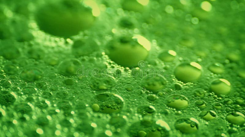 Putrid Green Waste Water with Bubbles Stock Footage - Video of green ...
