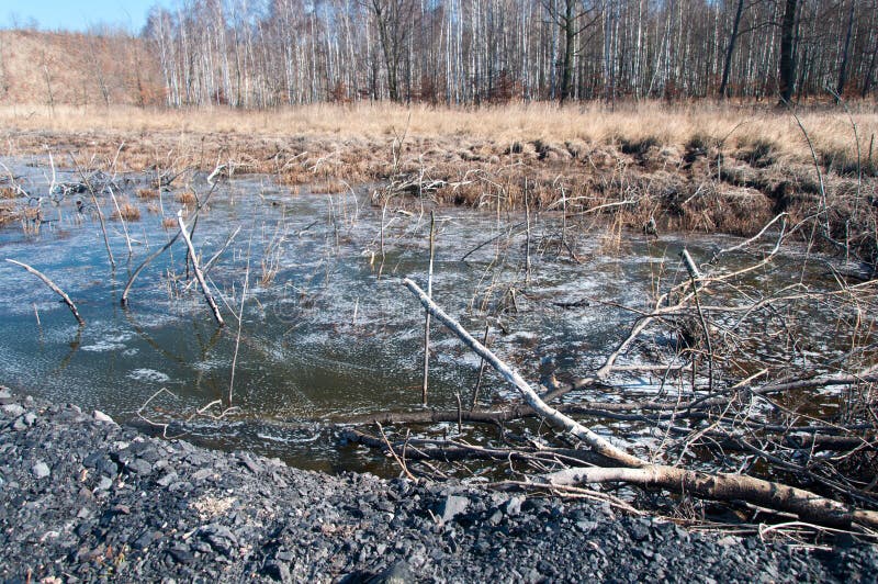 Toxic water stock image. Image of unhygienic, ecology - 21147845
