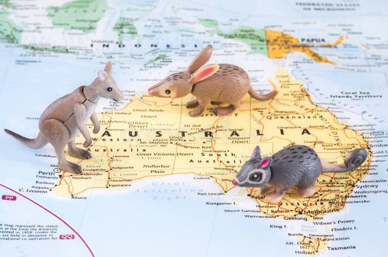 Toy Australian Animals on Map Stock Photo - Image of brown, conceptual ...