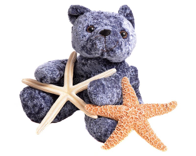 Teddybear Holding Advertising. Stock Image - Image of creativity ...