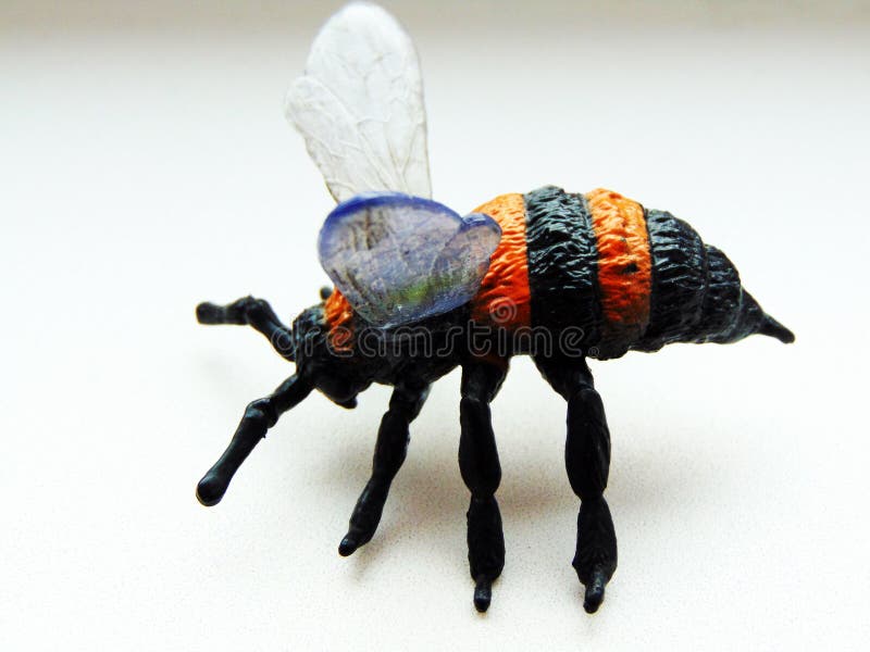 Toy Bee Isolated on White Background Stock Image - Image of aquarium ...