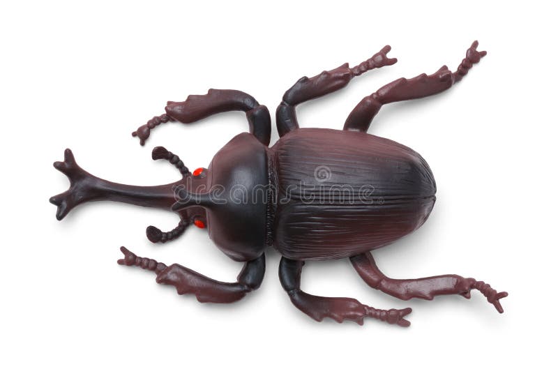 Toy Beetle Top View stock photo. Image of insect, beetle - 150854590