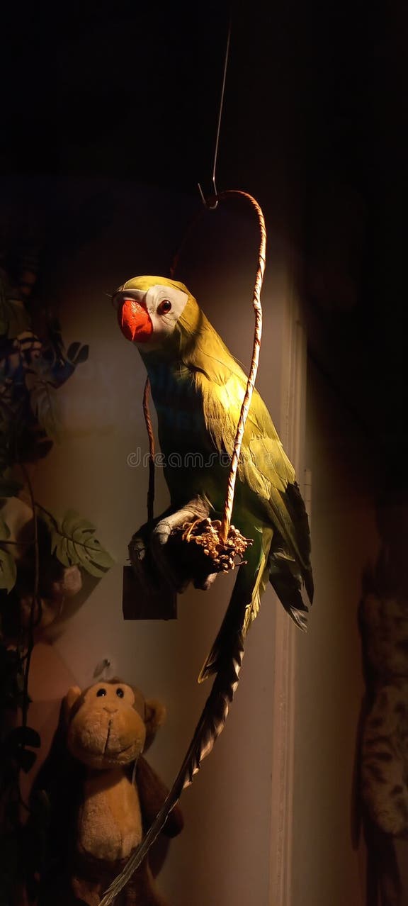 Bird Toy, handcraft stock image. Image of bird, sculpture - 244346103