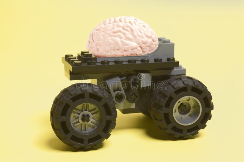 Human Brain Anatomical Model Closeup. Stock Photo - Image of human ...