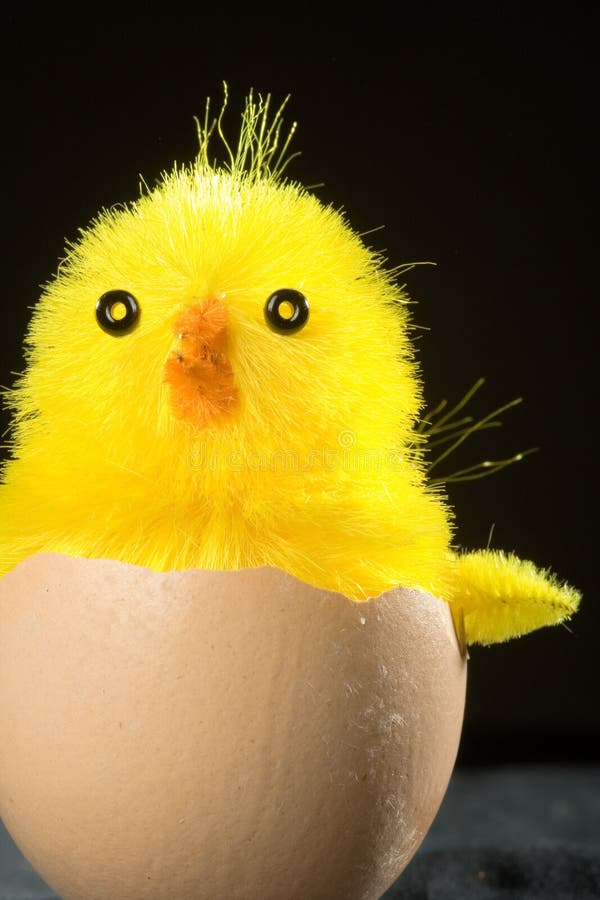 Toy Chick in Egg Shell stock image. Image of child, symbol - 2102329