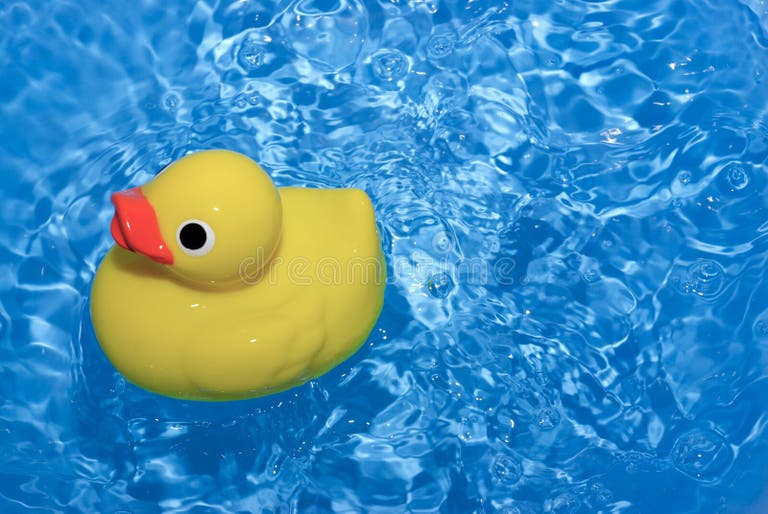 Toy ducky in water stock photo. Image of bathe, pool, splash - 8533456