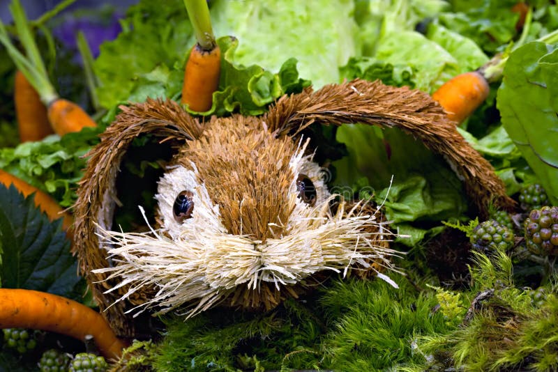 Toy Easter Bunny Hiding in Carrot Garden Stock Photo - Image of straw ...