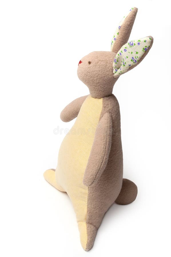 1,039 Fat Rabbit Stock Photos - Free & Royalty-Free Stock Photos from ...