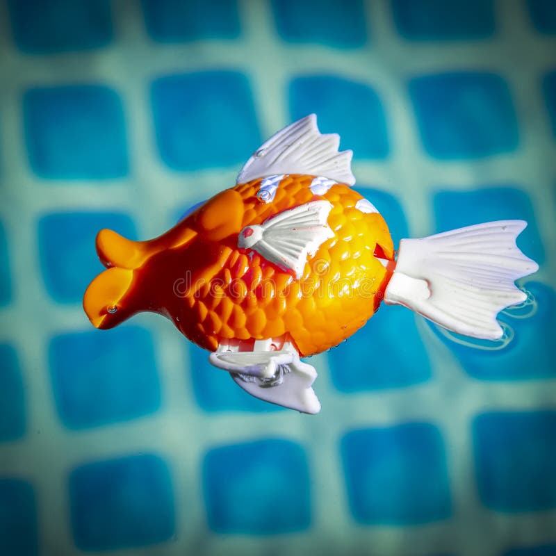 Toy fish in the pool stock image. Image of liquid, horizontal - 275116723