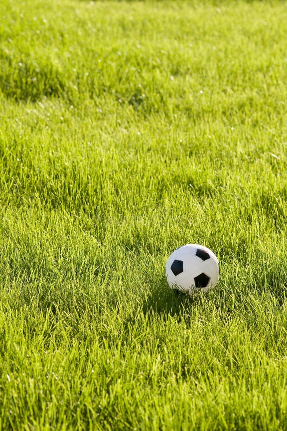 Toy football on the grass stock image. Image of green - 3146319