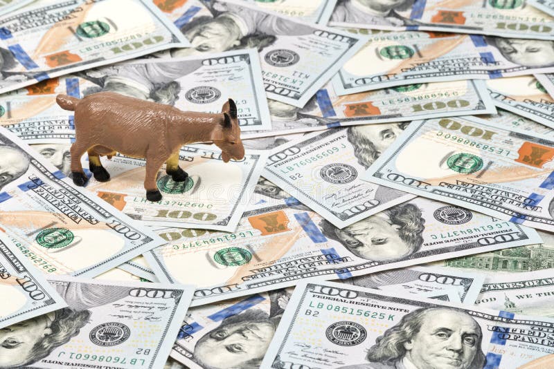 Toy goat on the money stock photo. Image of cute, brown - 93503960