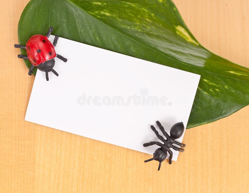 Toy Insects with Blank Card Stock Photo - Image of critters, commercial ...