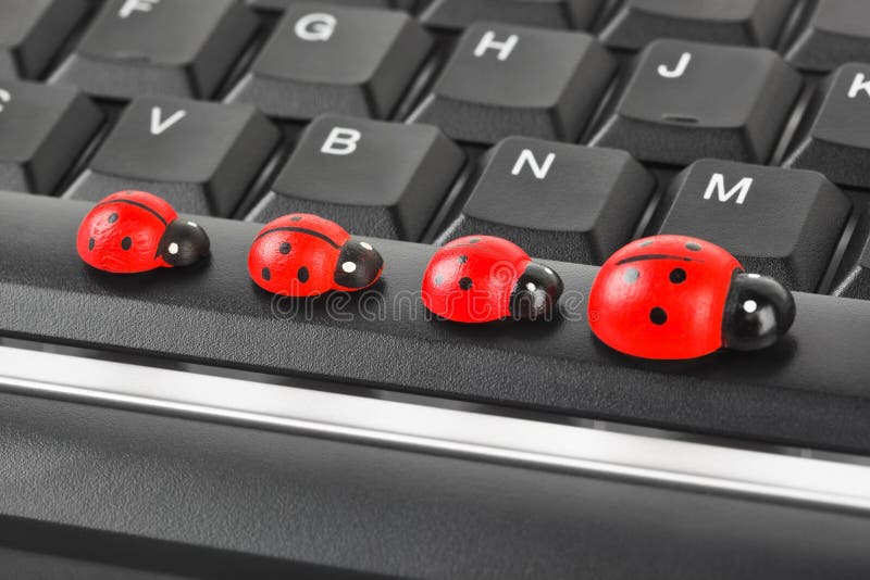 Keyboard Ladybug Stock Photos - Free & Royalty-Free Stock Photos from ...