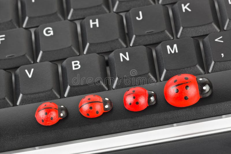 Keyboard Ladybug Stock Photos - Free & Royalty-Free Stock Photos from ...