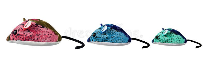 Toy Mice stock photo. Image of cutout, still, life, curious - 81724334