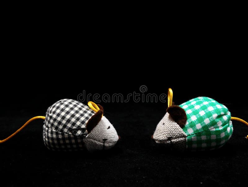 Toy Mouse stock image. Image of mice, domestic, baby - 244153419
