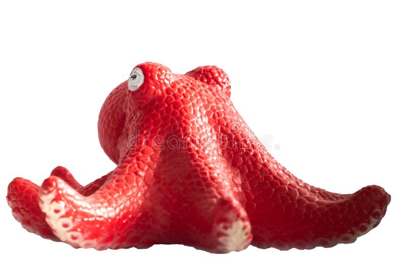 Octopus Protein Isolate Stock Photos - Free & Royalty-Free Stock Photos ...