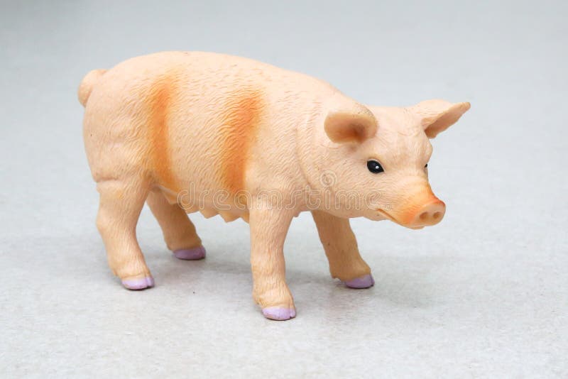 Toy pig stock photo. Image of plastic, sympathetic, nice - 51676596