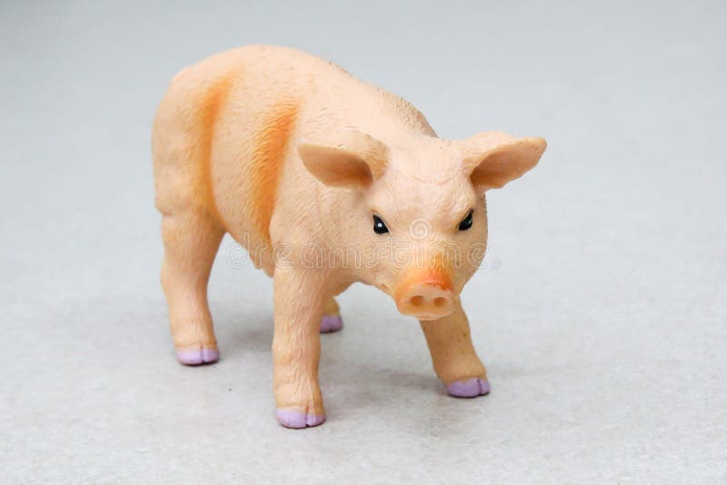 Toy pig stock photo. Image of snout, nice, plastic, livestock - 51678750